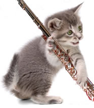 With many looking to purchase their first flute over the holiday period ...