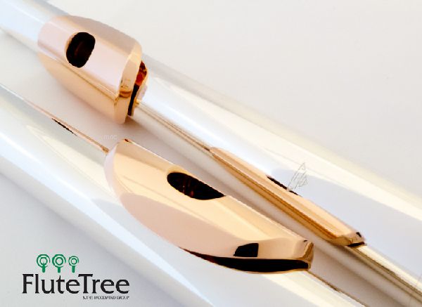 Flute Tree BRISBANE SALE